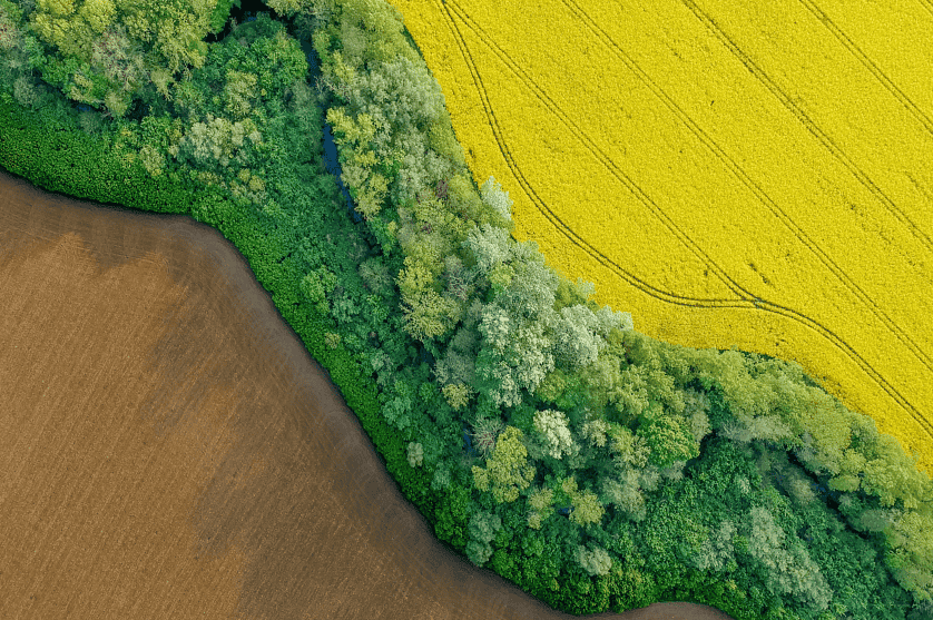 The complex field of boundary ownership - Harrowells Solicitors